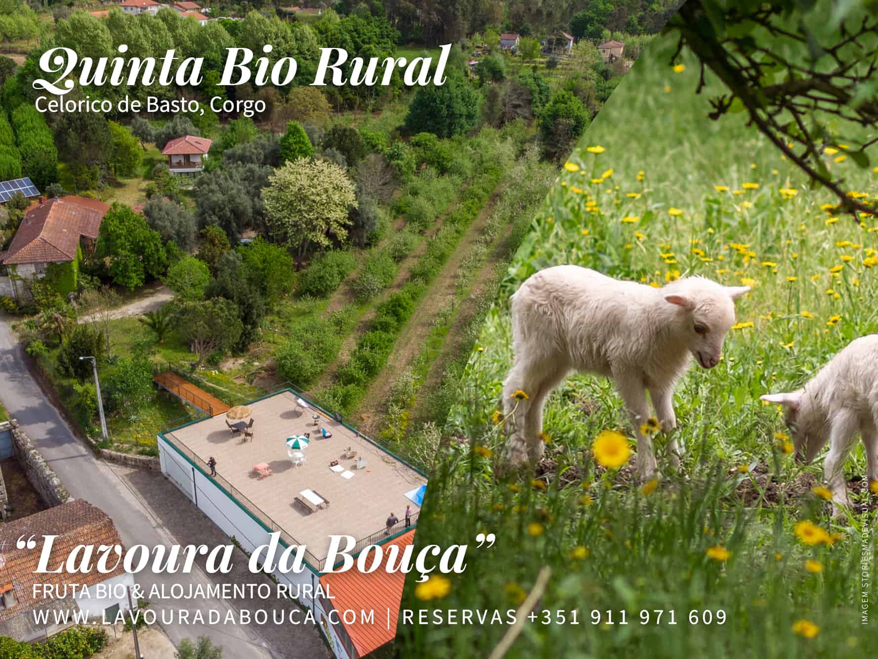 Lavoura da Bouça → Lavoura da Bouça - AL e Fruta Bio